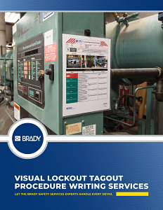 LINK360 Safety Software with BradyPrinter S3100 Printer and Lockout ...