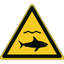 ISO Safety Sign - Warning Sharks | Brady | BradyID.com