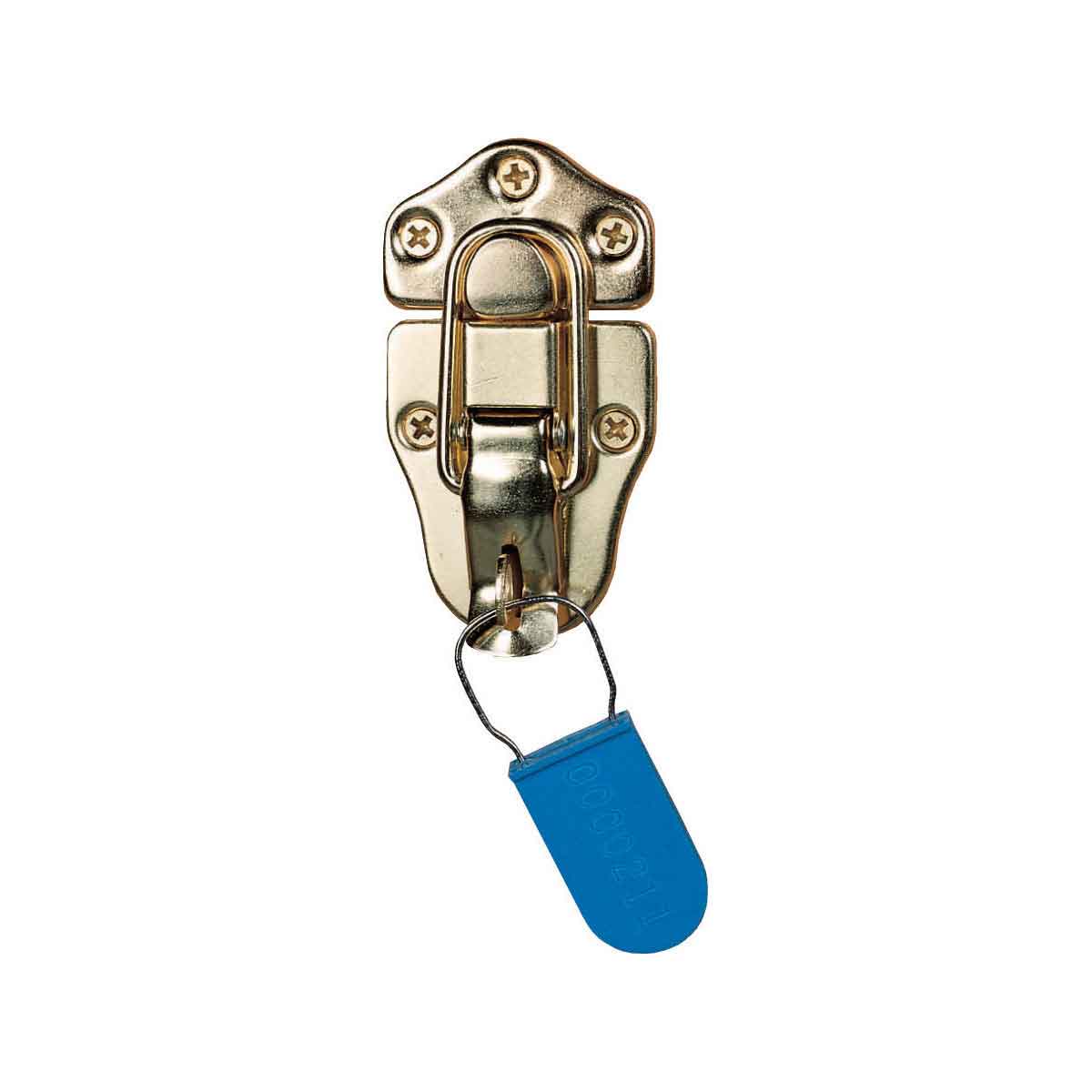 Padlock Plastic Seals - Brady Part: 95169 | Brady | BradyID.com