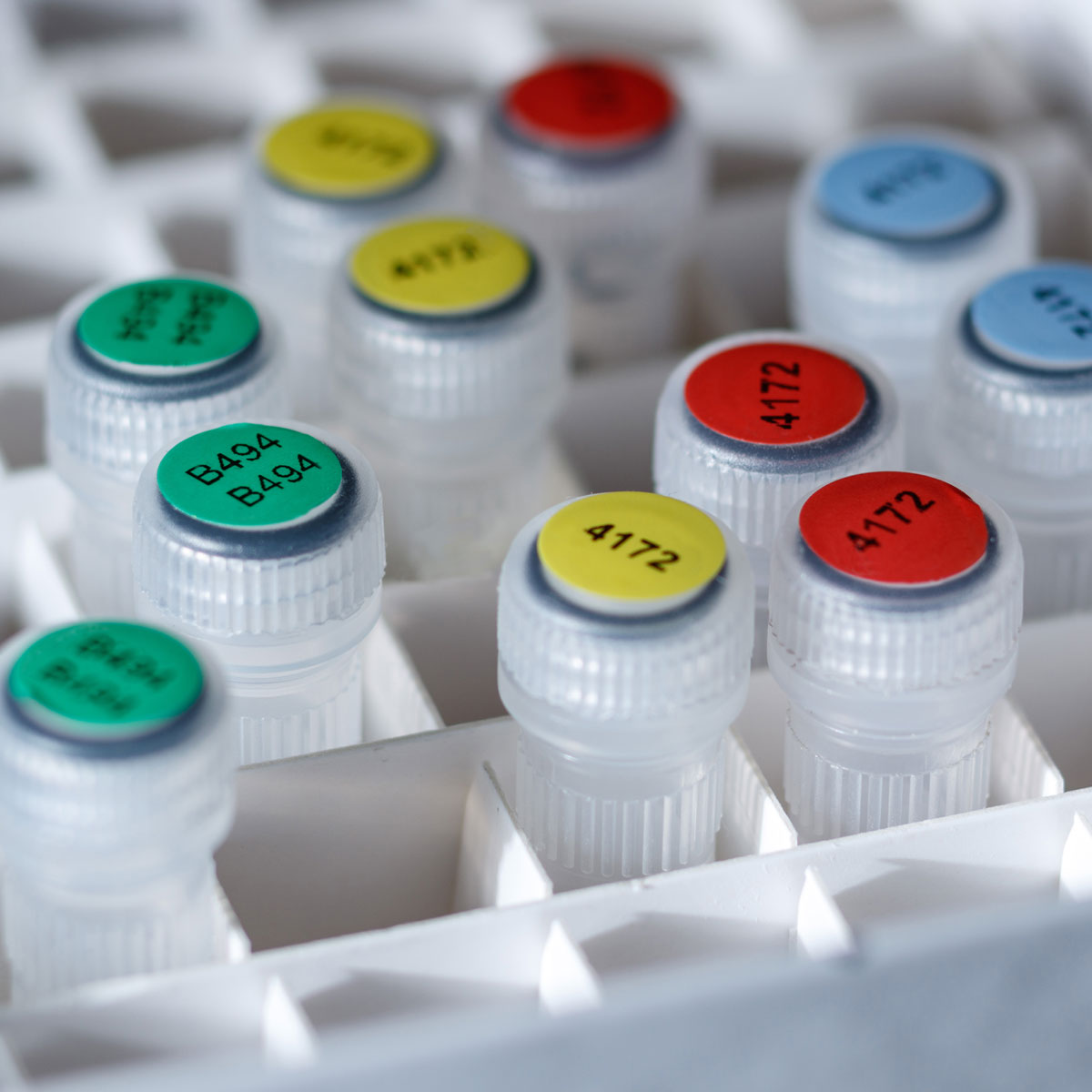 BMP61 M611 Color Polyester Vial and Tube Labels - Brady Part: M61-98 ...