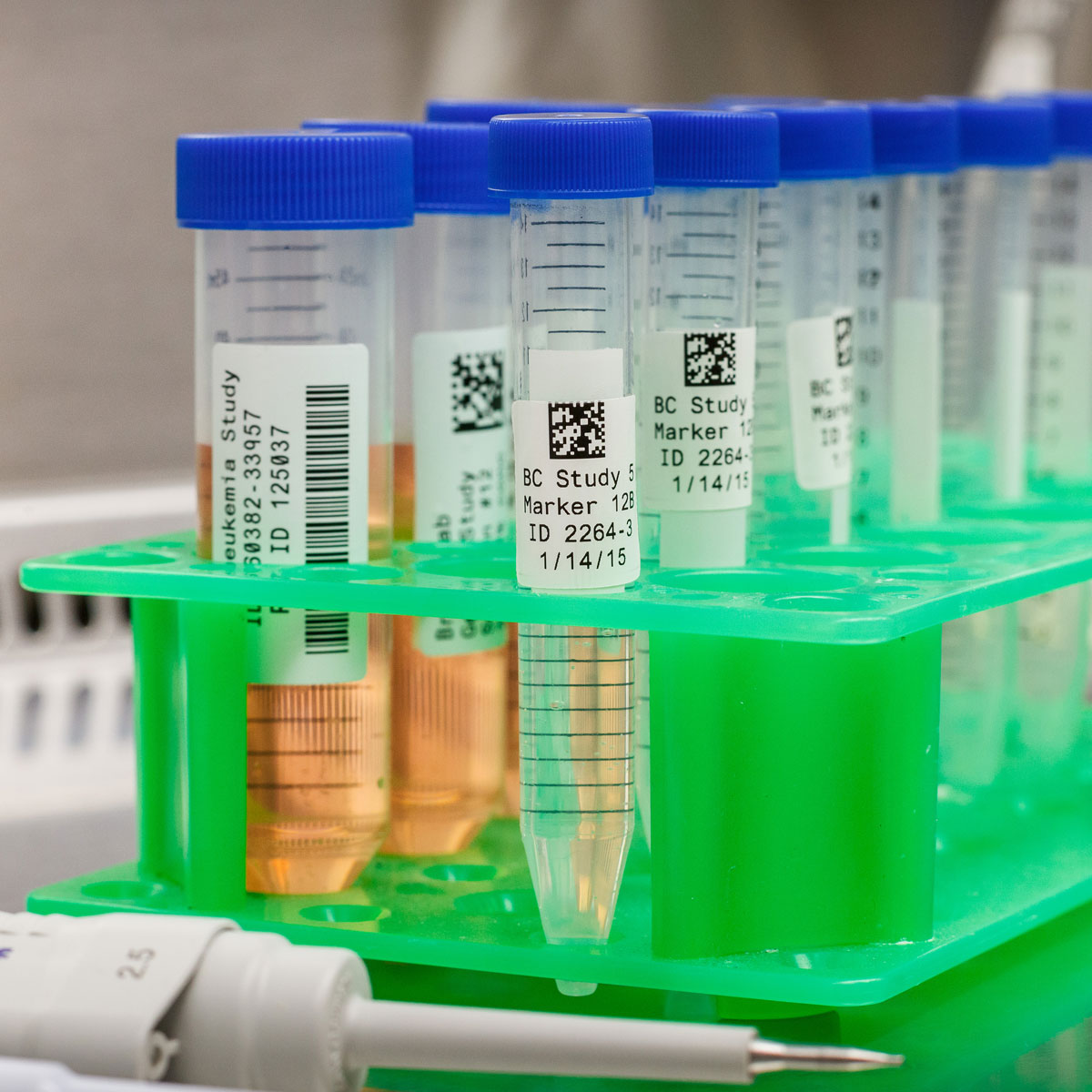 Brady Workstation Laboratory Identification Software Suite - Brady Part ...