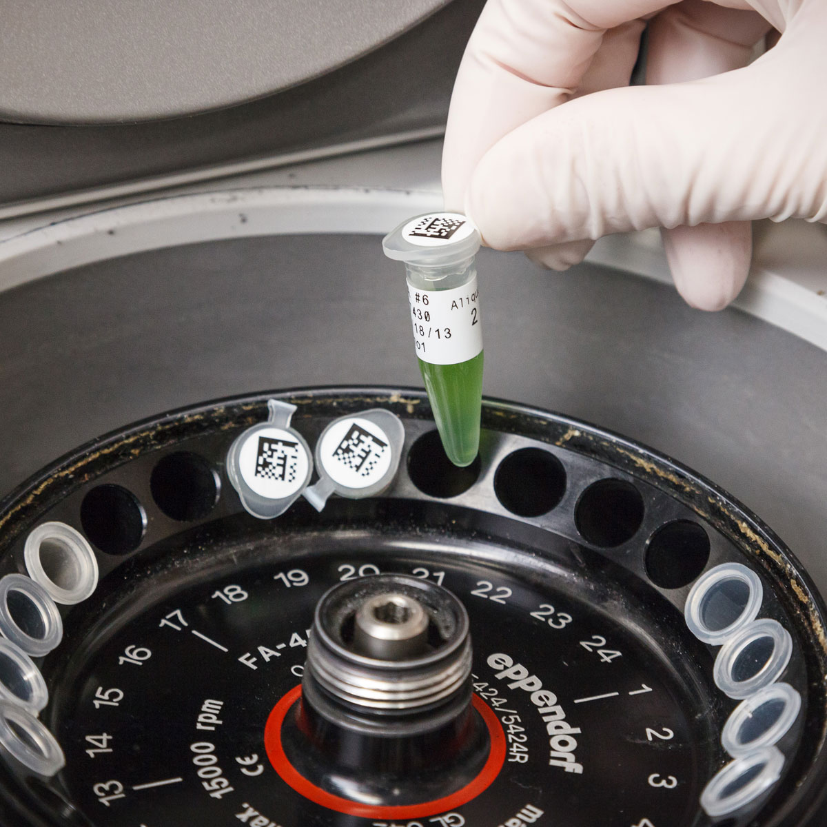 Aggressive Adhesive Multi-Purpose Nylon Labels with Vial Top for BMP71 ...