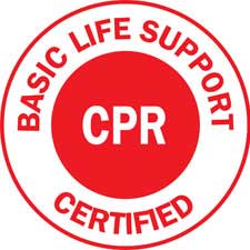 BASIC LIFE SUPPORT CERTIFIED CPR Hard Hat Labels - Brady Part: 49576 ...